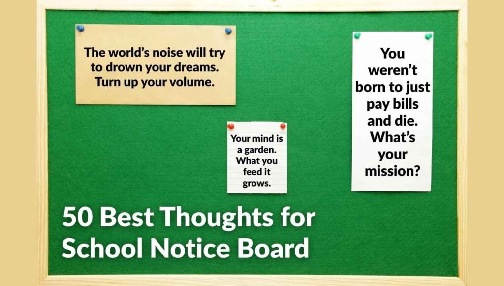 50 Best Thoughts for School Notice Board